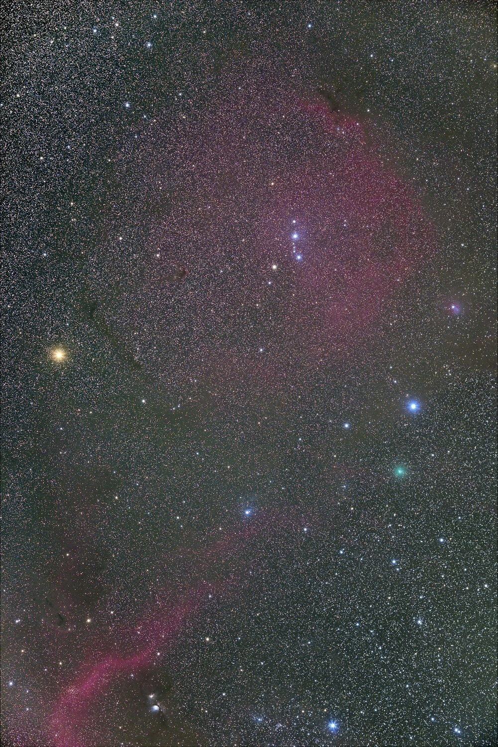 エンゼルフィッシュ星雲（Sh2-264）&アトラス彗星: 星三昧