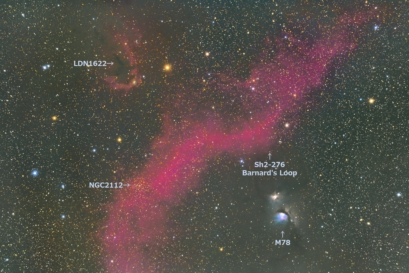M78、Sh2－276、LDN1622: 星三昧